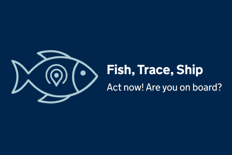 Exporters - Fish, Trace, Ship